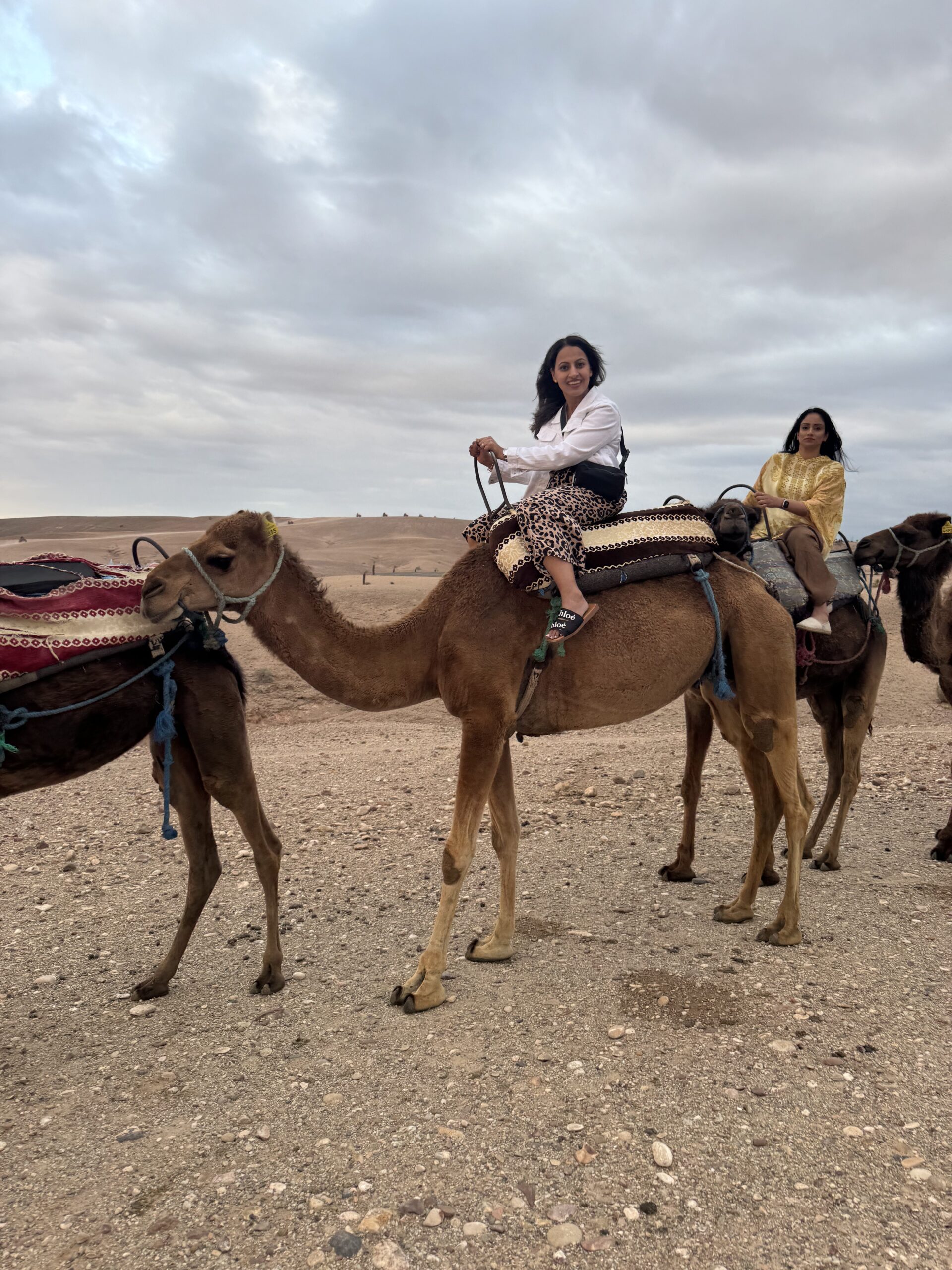 Marrakesh 2025 - Club Ekta